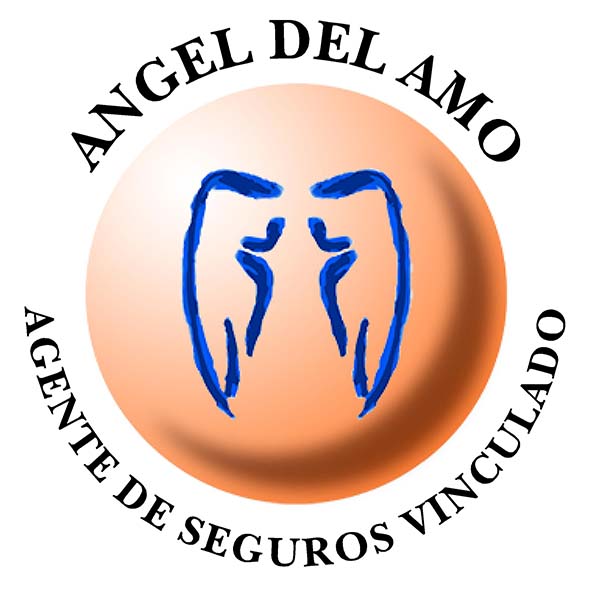 El seguro me acompaña , vídeo resumen de tu vida y el seguro